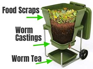 How to Make Compost Tea - with a Vermicompost Bin
